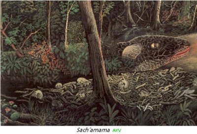 Yacumama [MeetYourMonster.de vers. 14-11-11]